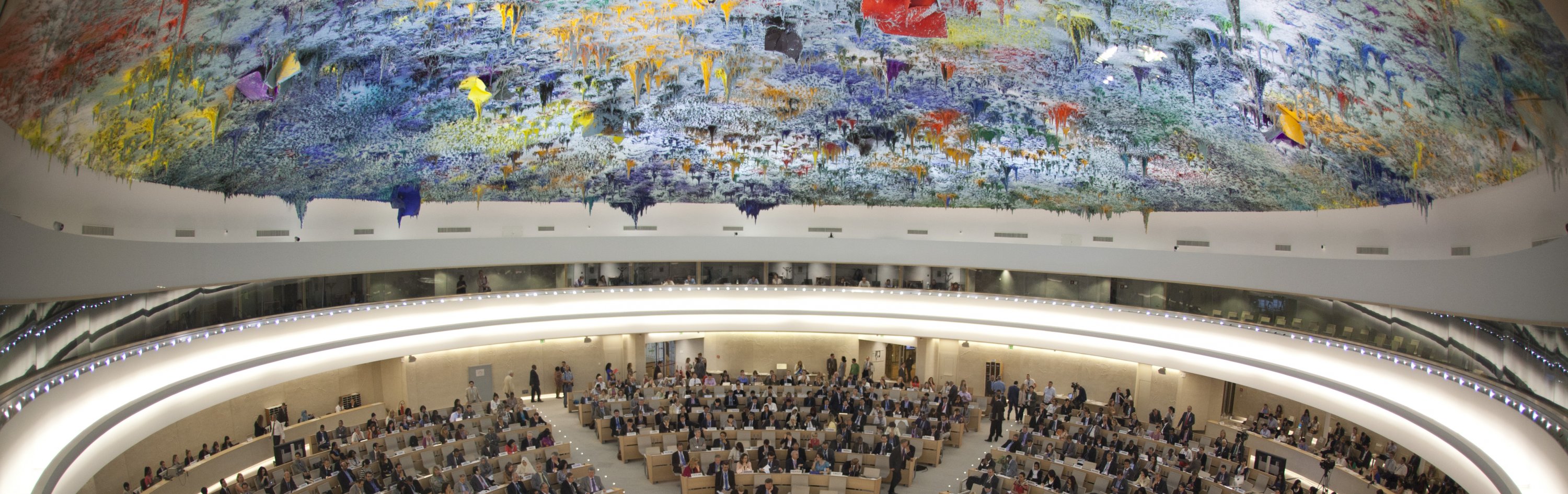 UN Human Rights Council vote | Greens/EFA