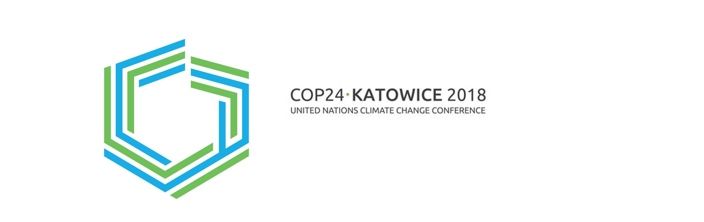 Our demands for the COP24 negotiations | Greens/EFA