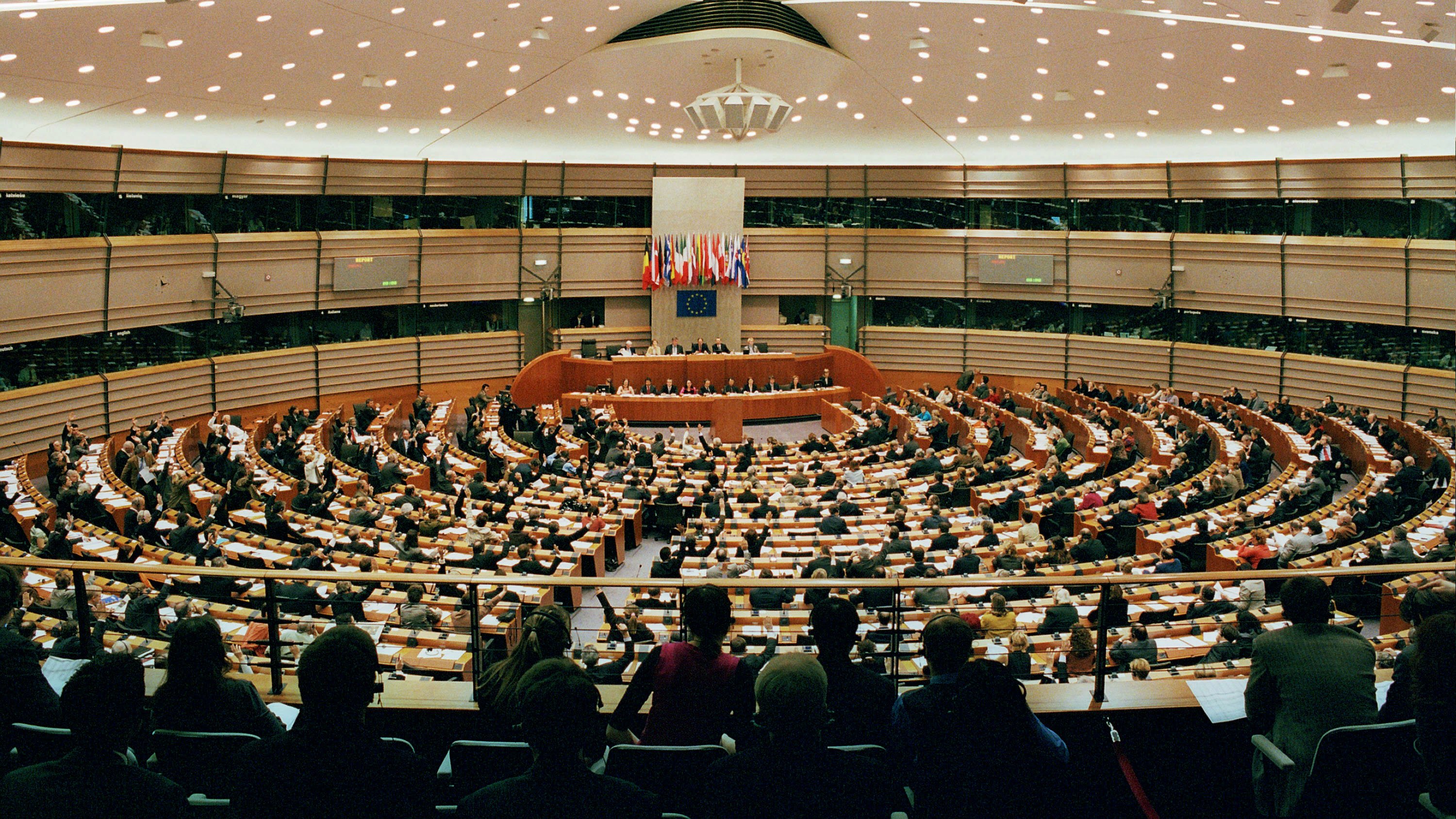 EFA Group Statement | Greens/EFA EFA Group Statement | Greens/EFA