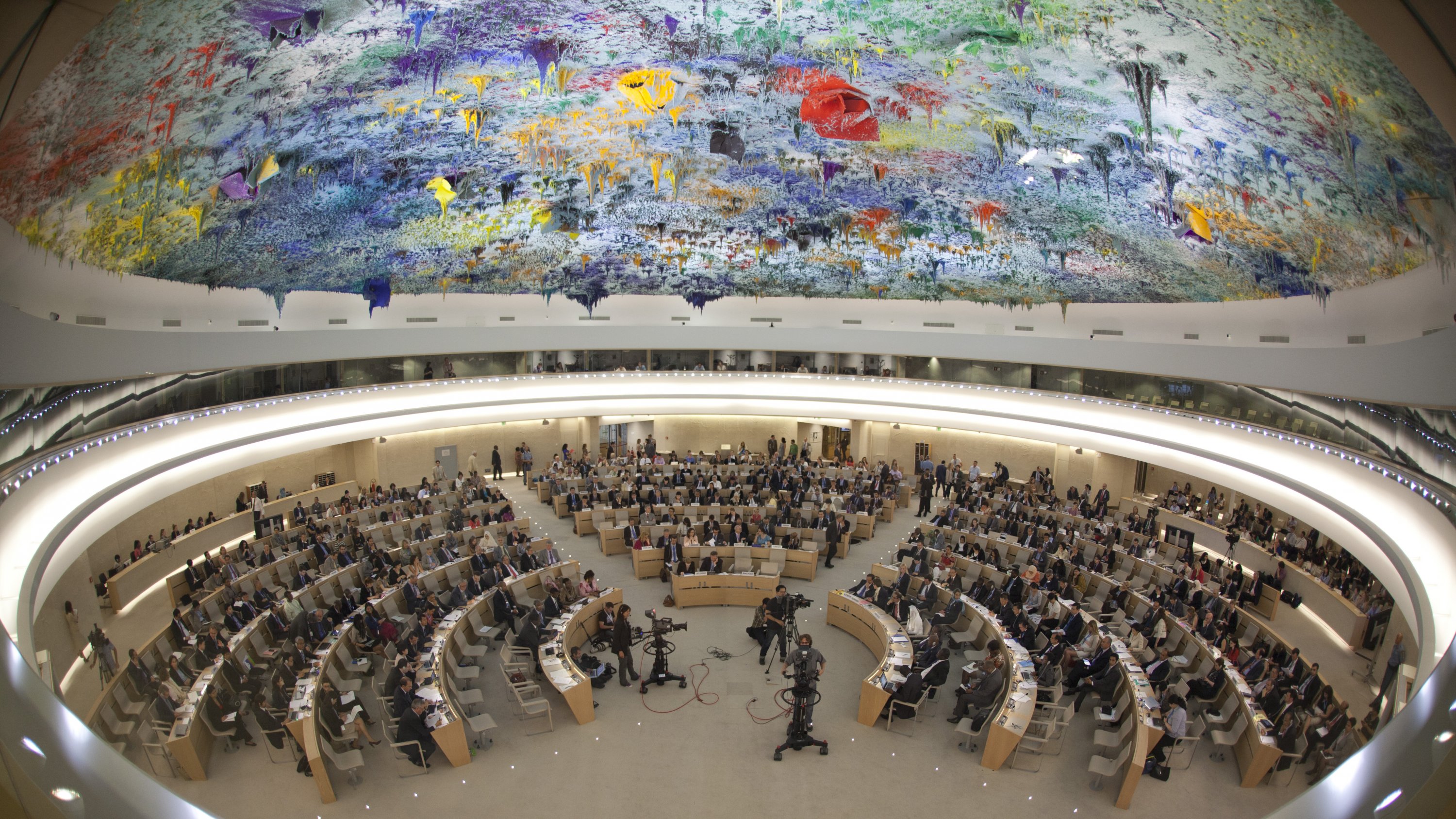 UN Human Rights Council vote | Greens/EFA