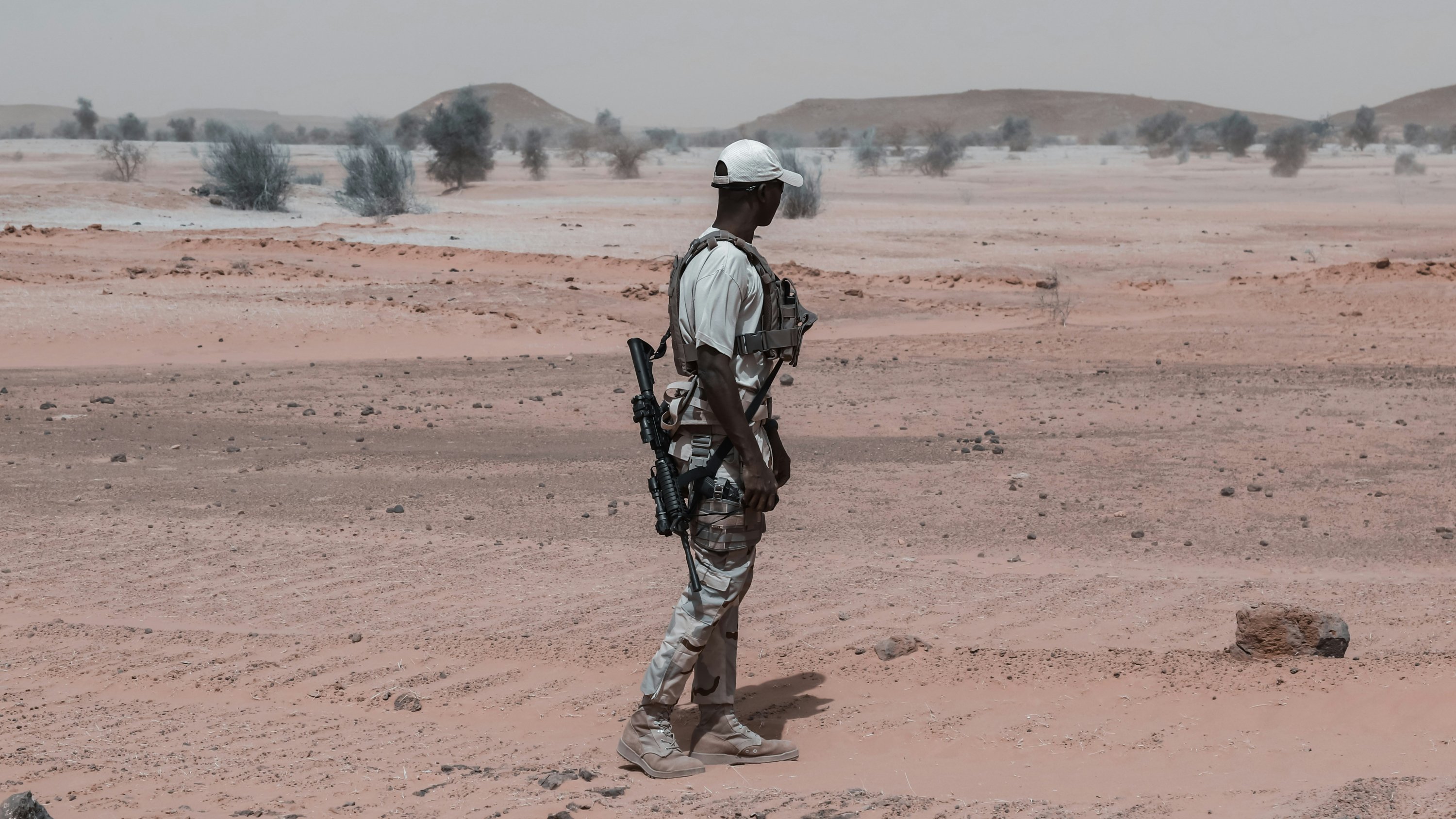 Sudan: External powers must stop fueling war | Greens/EFA