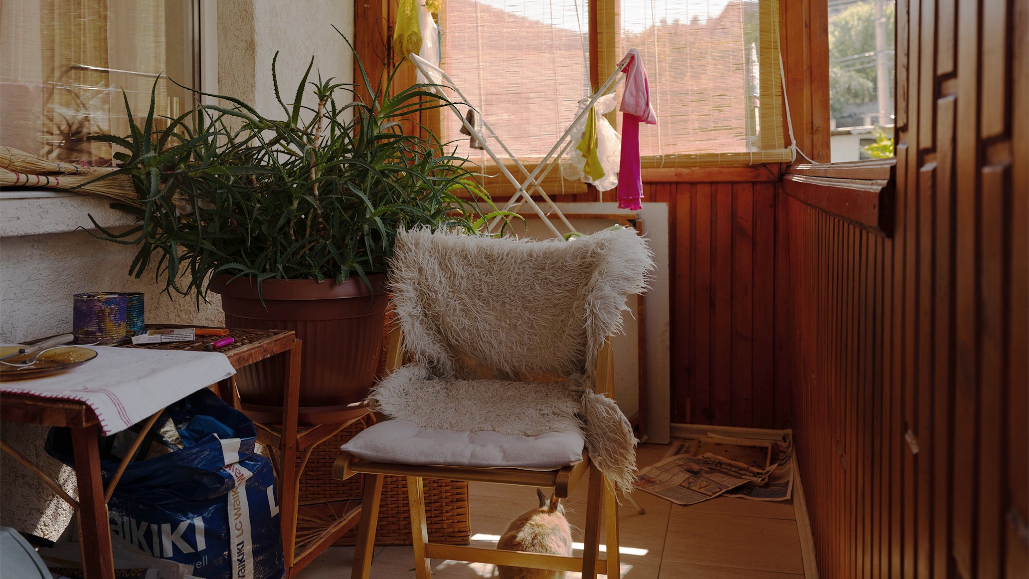 Powerful encounters: Picturing an end to energy poverty | Greens/EFA