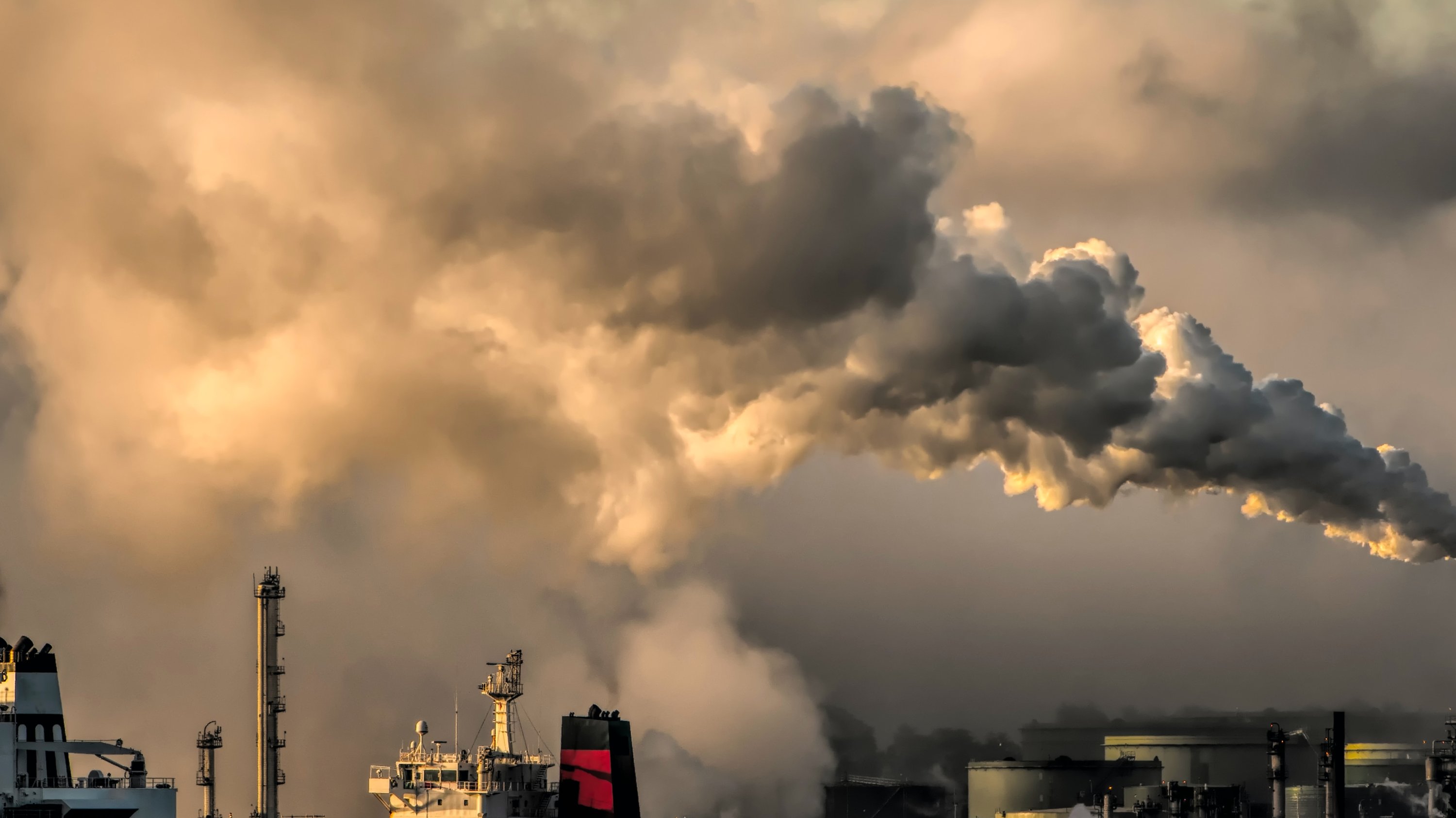 An important step towards green global trade | Greens/EFA