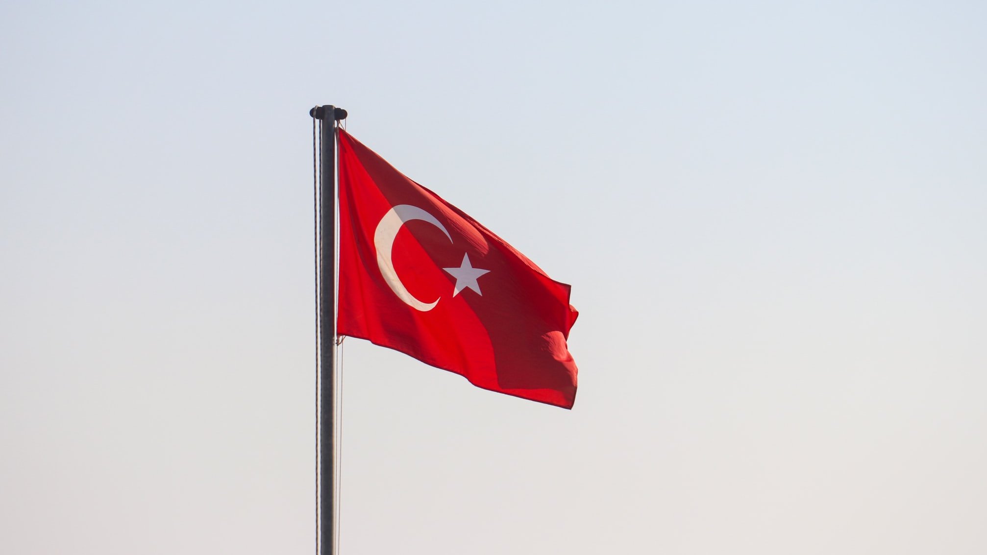 Prisoners of conscience in Turkey | Greens/EFA