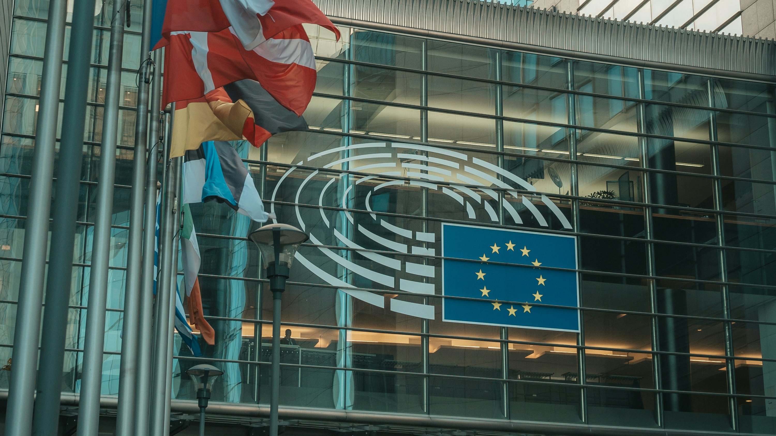 Continuing witch-hunt on civil society | Greens/EFA