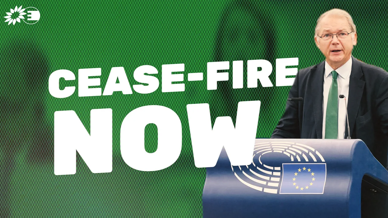 Israel/Palestine: We are calling for an immediate cease-fire | Greens/EFA