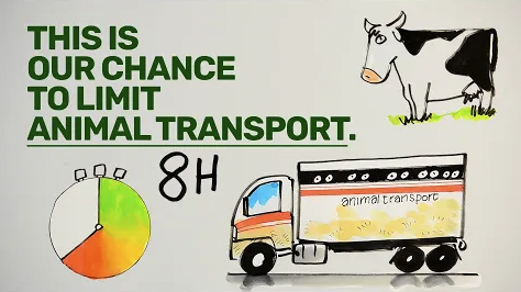 Let's limit animal transport - how you can help us to protect farm ...