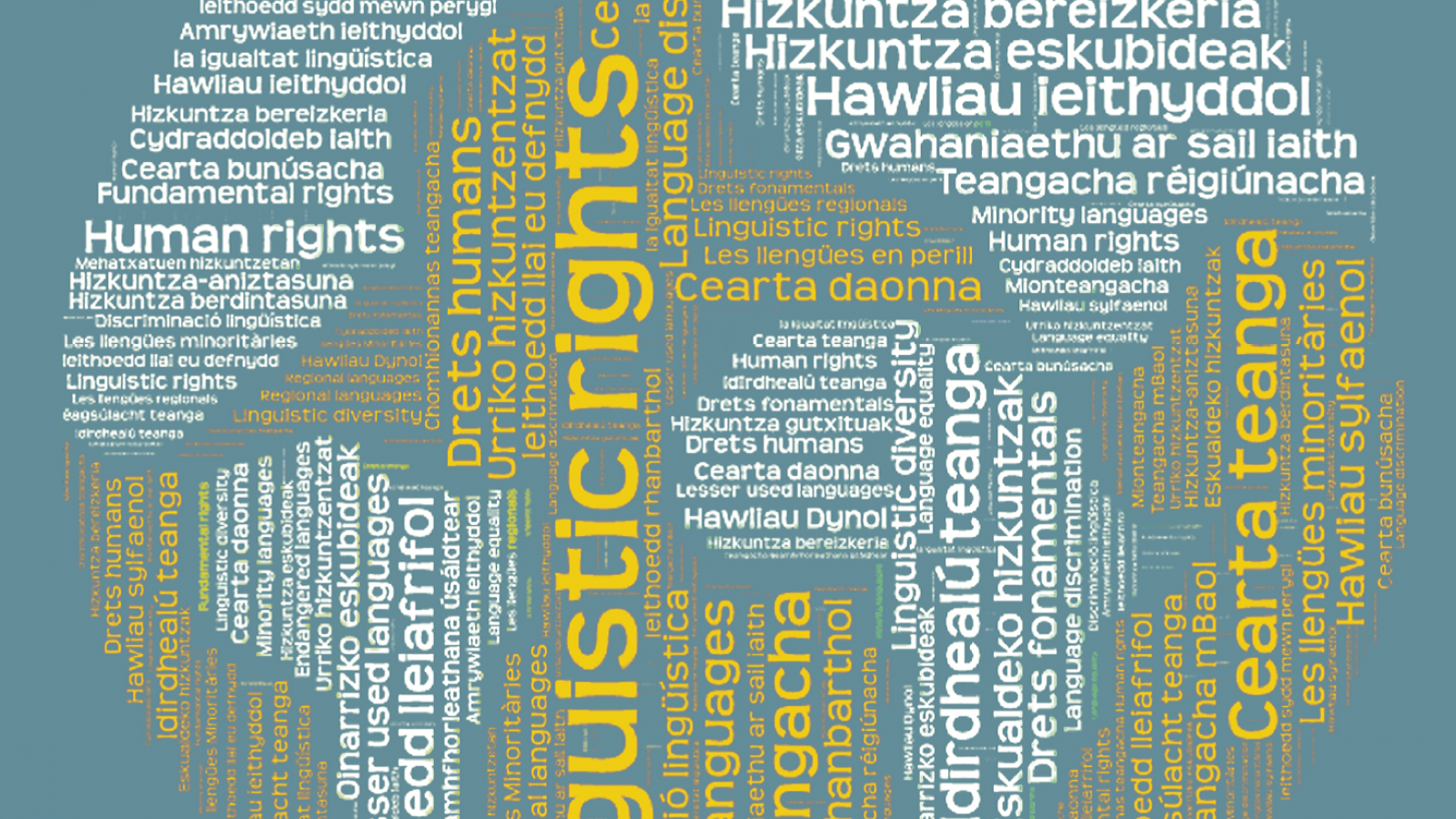Linguistic Human Rights