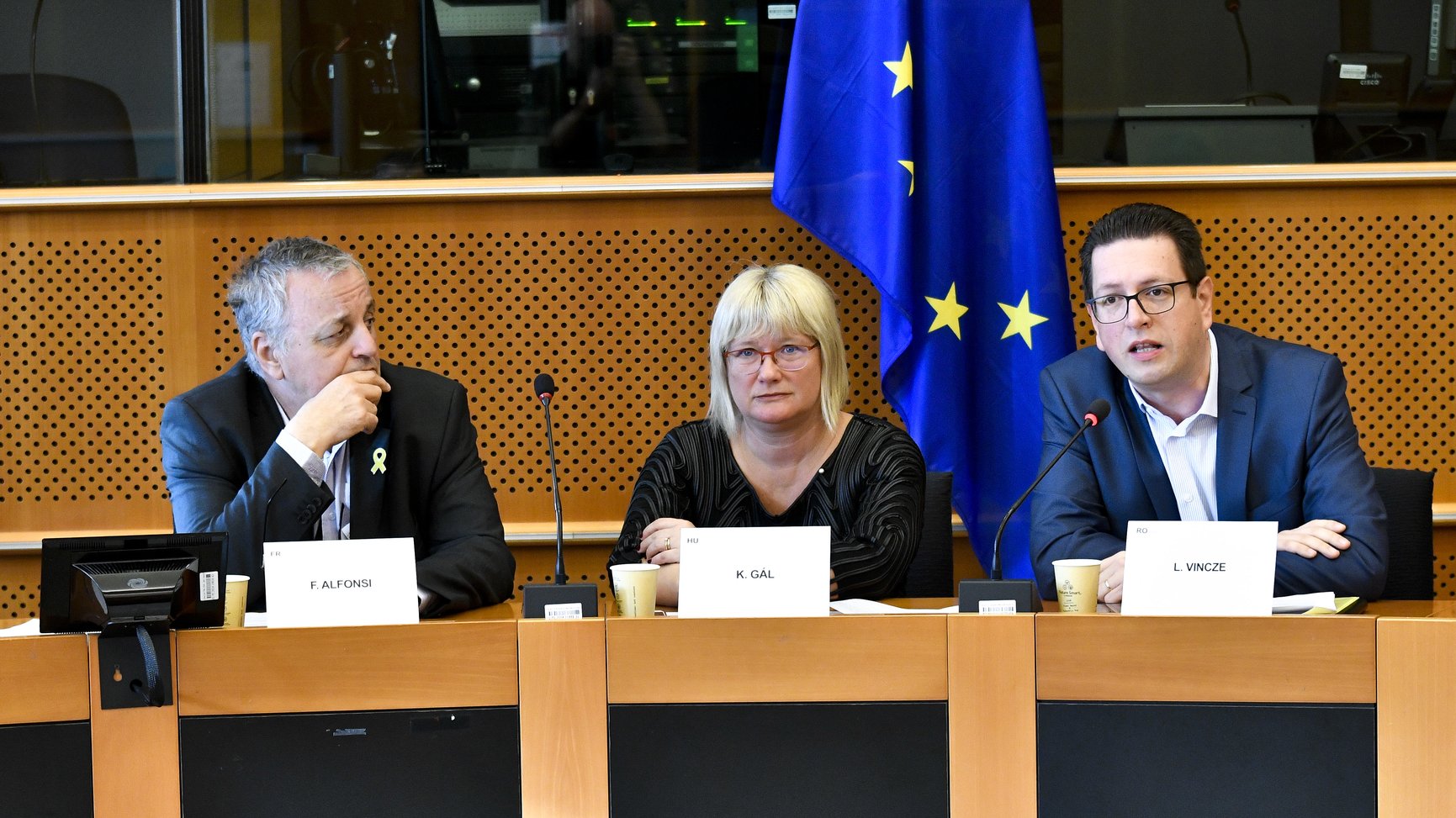 Focus on Europe’s minorities, national communities and languages ...