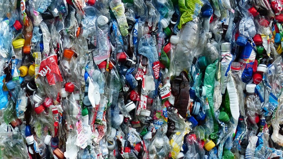 Single Use Plastics Directive | Greens/EFA
