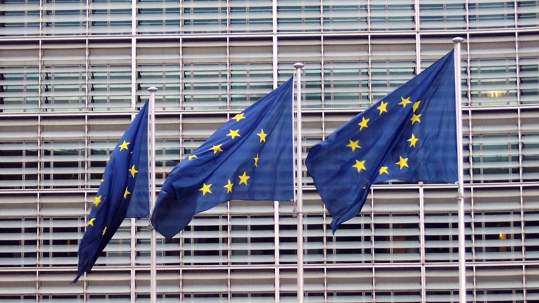 Administrator advising on policy issues in the field of European Union ...