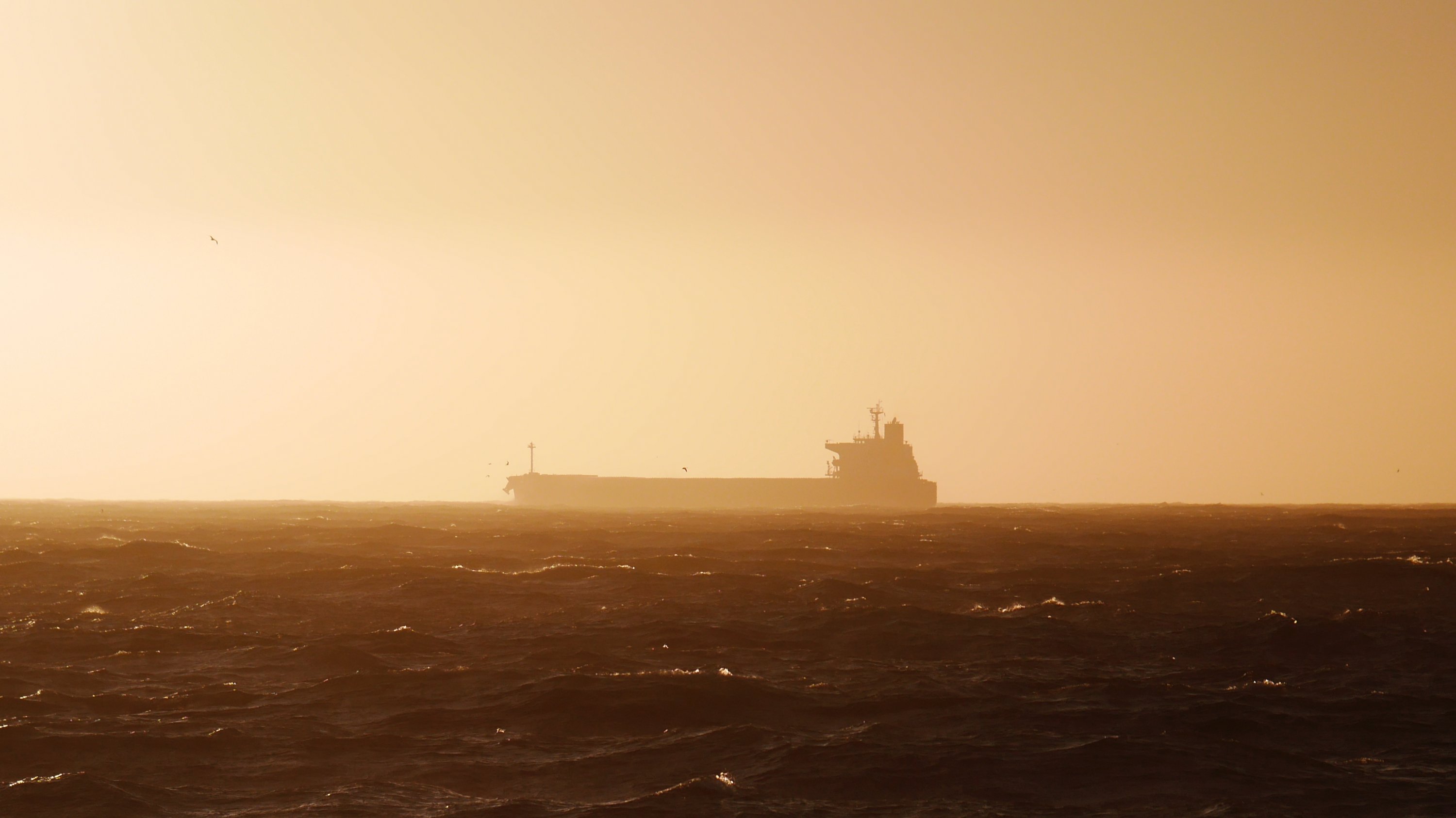 Green Trade Policy in a Globalised World | Greens/EFA