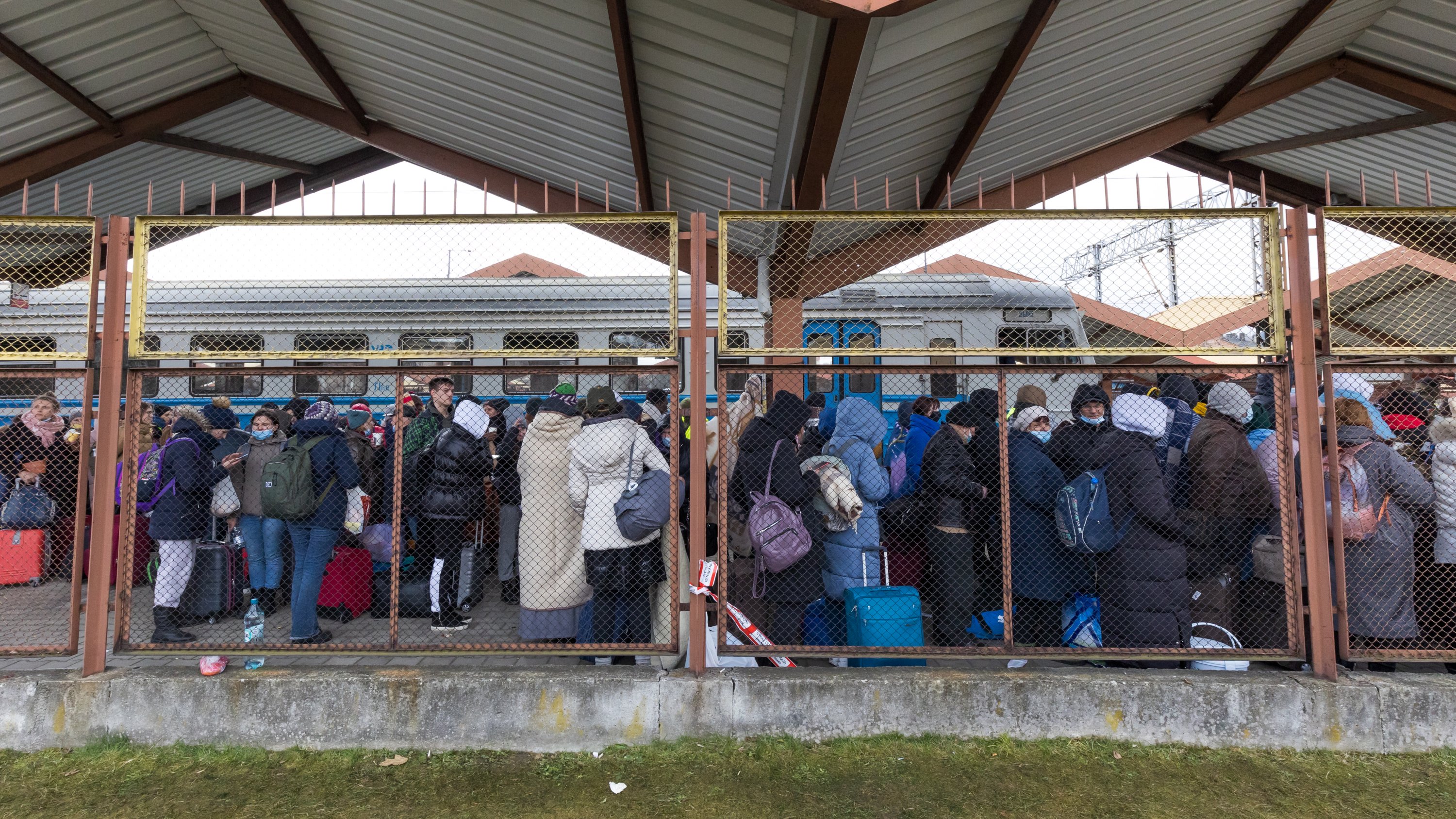 'We are not only losing lives, but also futures' - MEP Diana Riba i ...