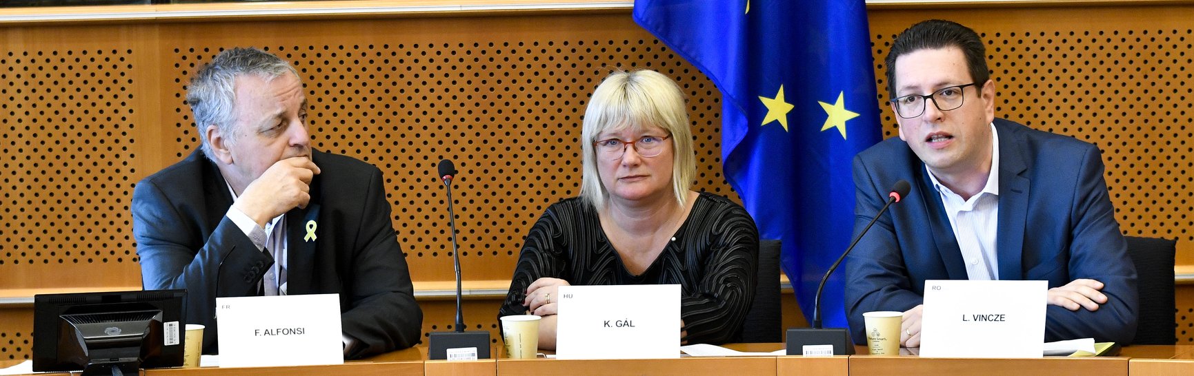 Focus on Europe’s minorities, national communities and languages ...