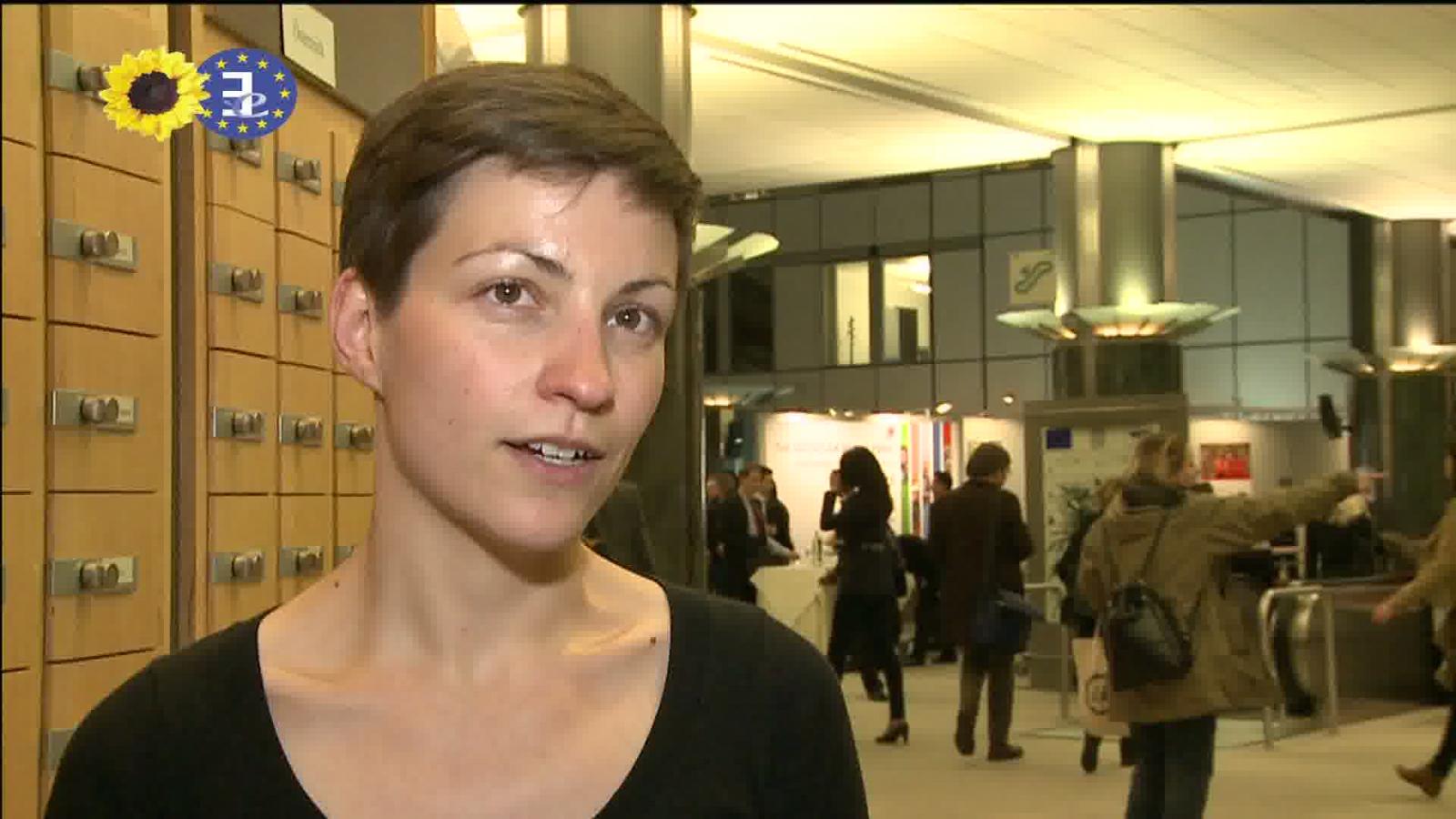 Migration flows arising from instability | Greens/EFA