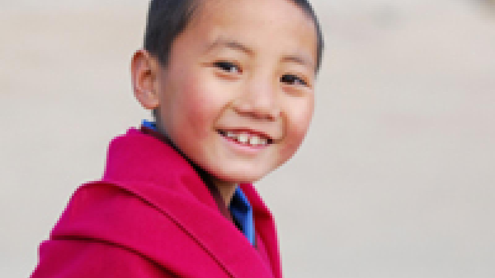 Tibet, in particular the self-immolation by nuns and monks | Greens/EFA