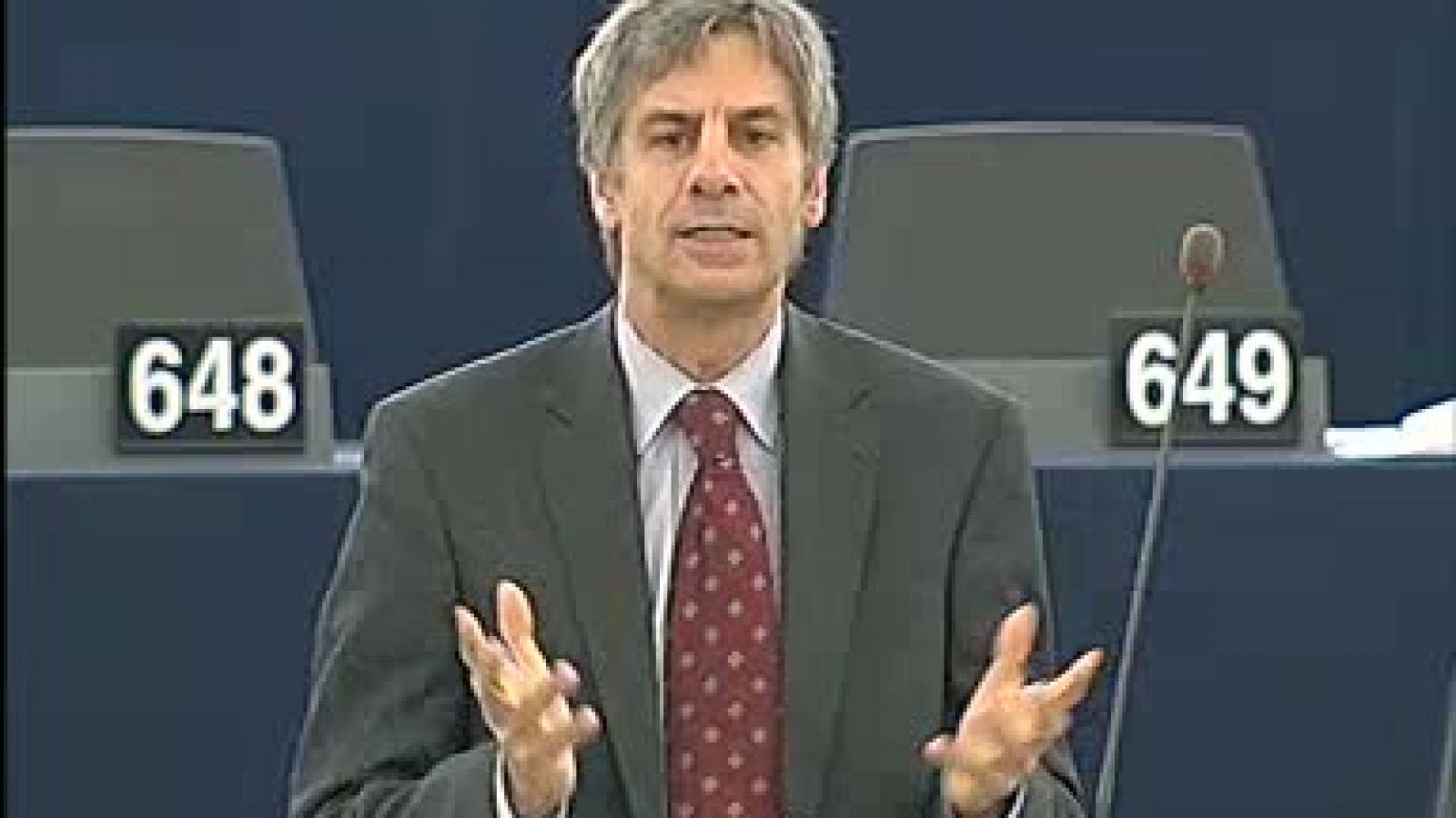 Election of the Members of the European Parliament | Greens/EFA