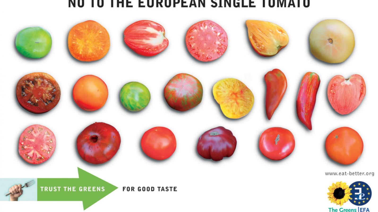 No to the European Single Tomato | Greens/EFA