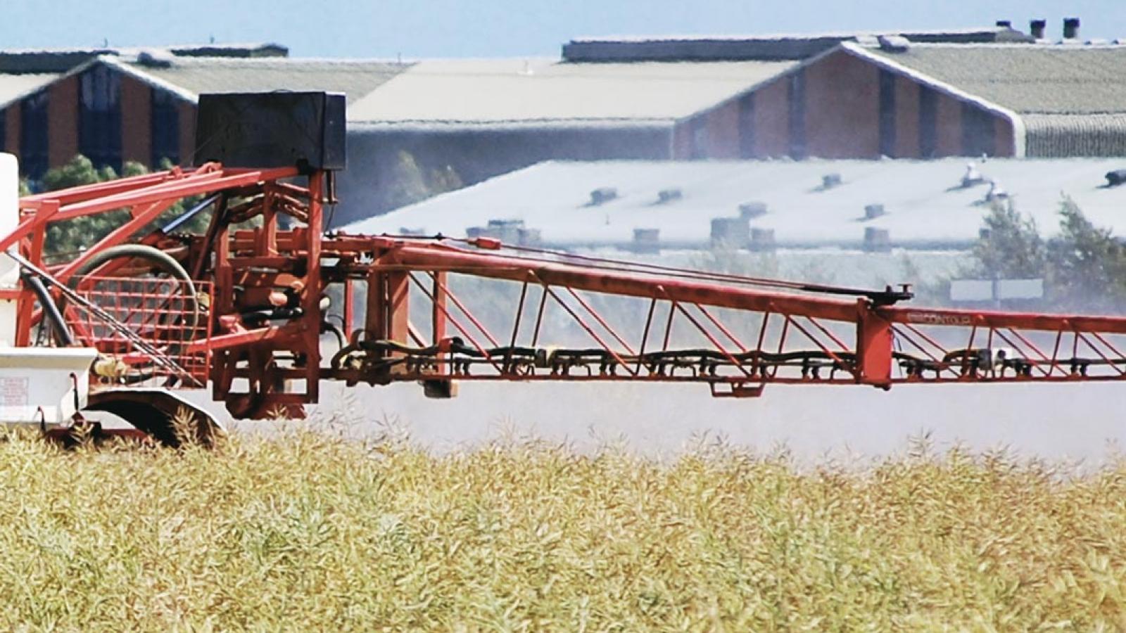 Glyphosat | Greens/EFA