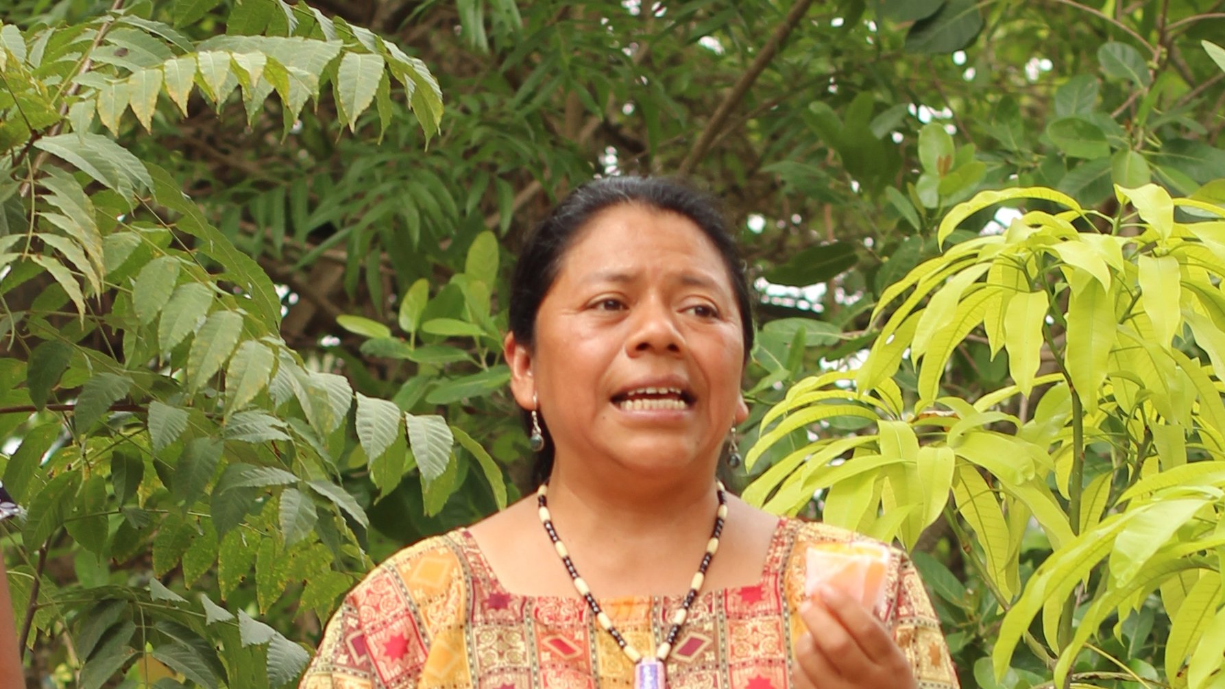 Challenges faced by environmental rights defenders in the world ...